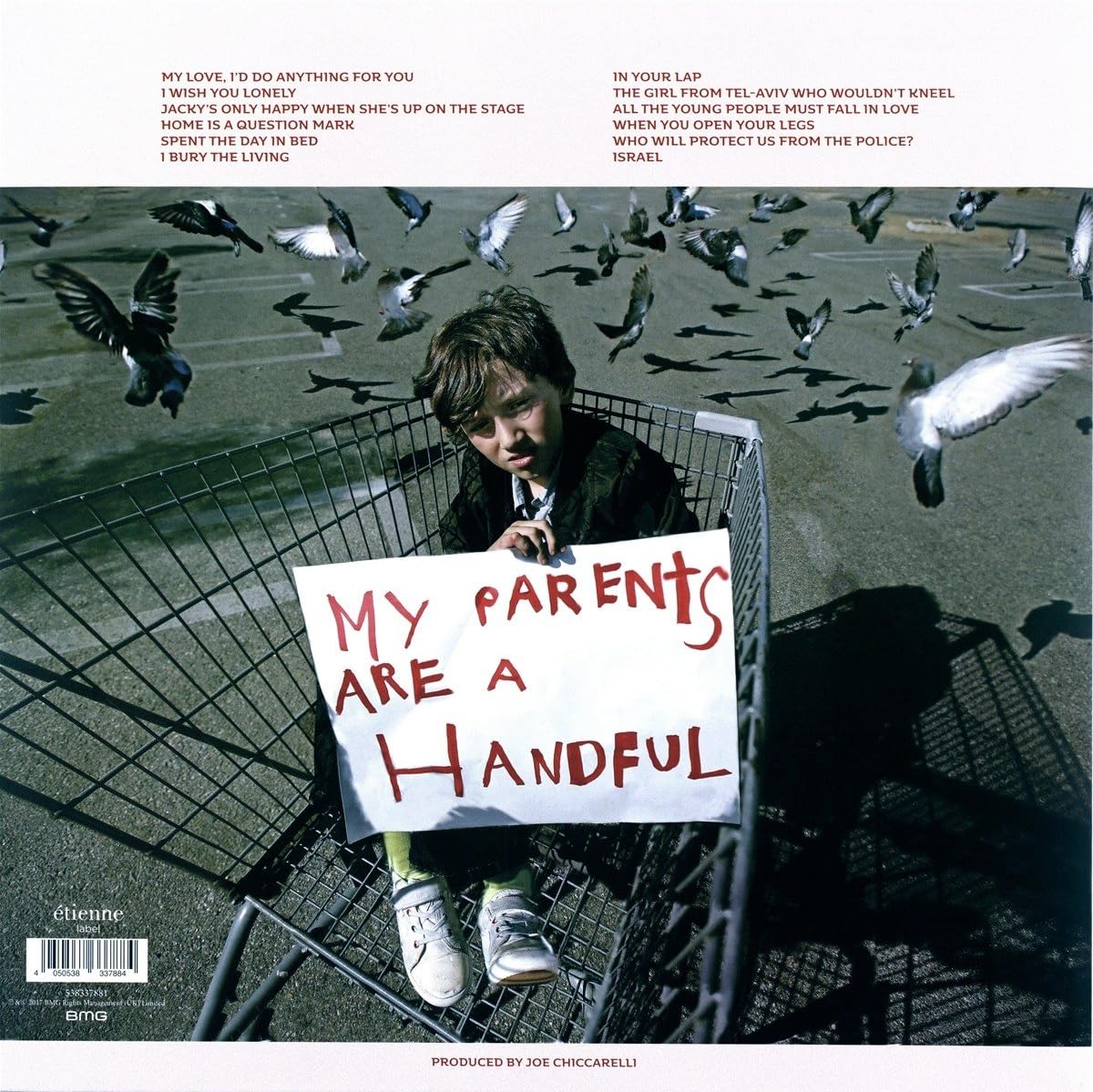 The Vintage Store - Morrissey – Low In High School LP